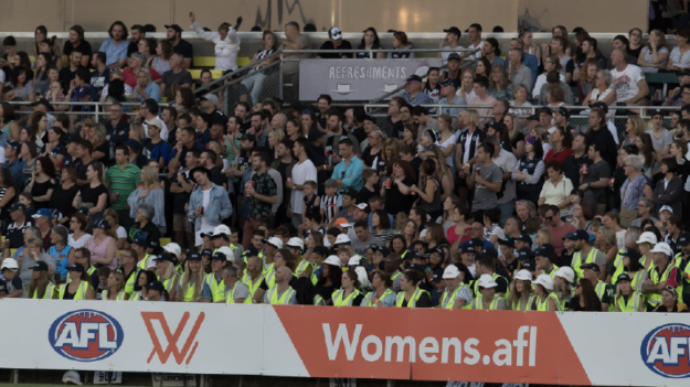 Latest News from MC Labour Services news and the labour hire industry